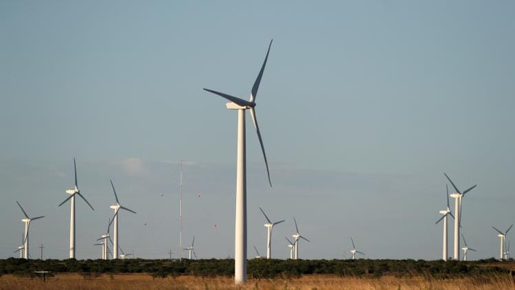Which Is A Sustainable Practice? Operating Wind Farms Clear Cutting ...