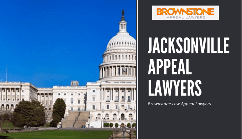 Navigating the Legal Maze: The Process of Drafting an Appeal - Trendingbird